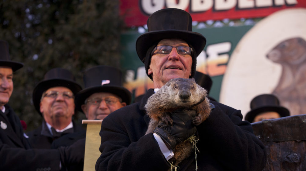 Some Random Facts About Groundhog Day | Robot Butt